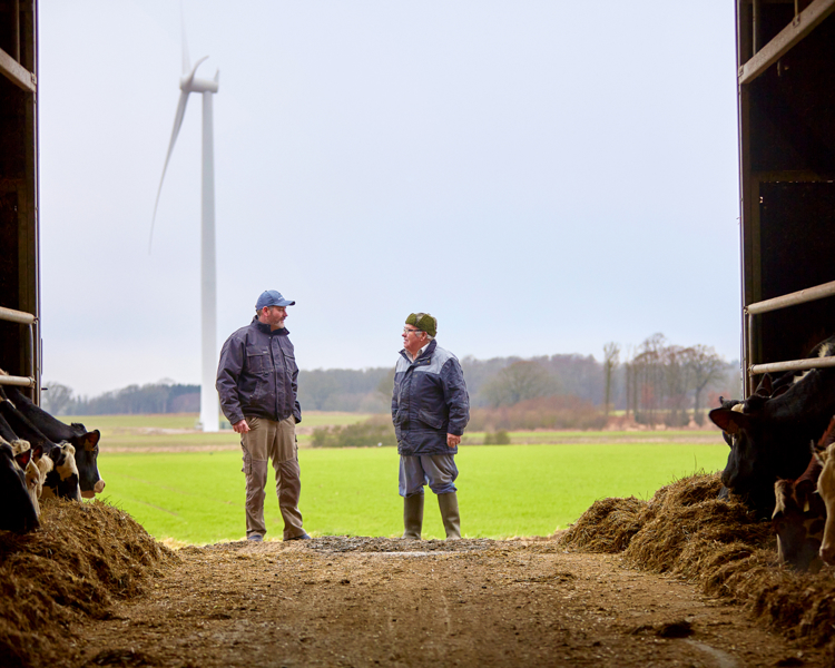 Annual Reports | Arla