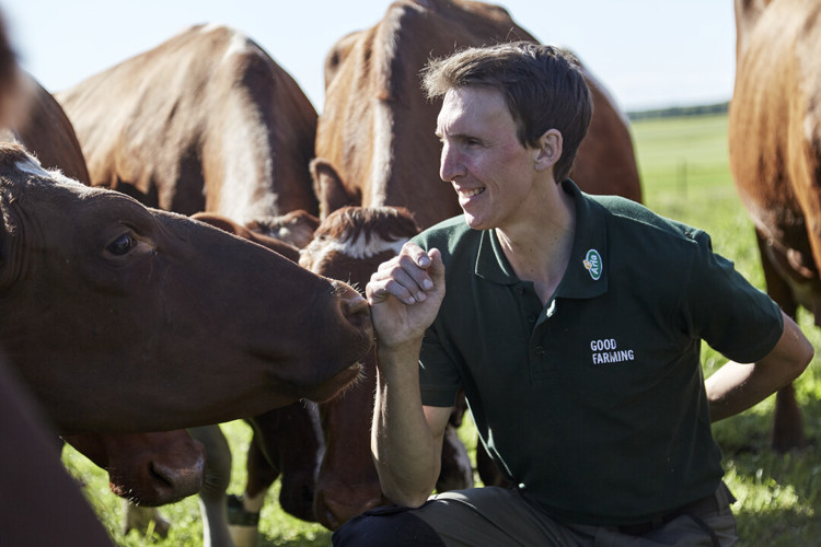 How Arla farmers reduce dairy's carbon footprint | Arla