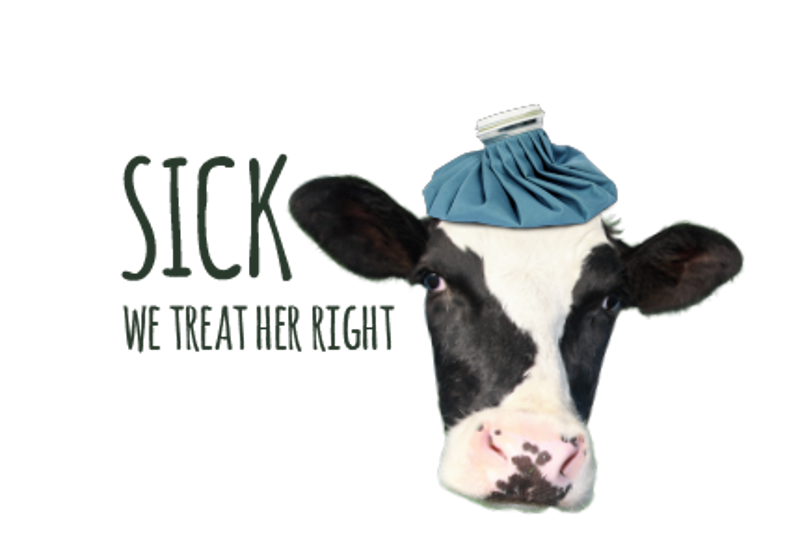 Happy cows are healthy cows | Arla