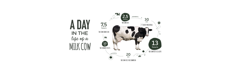 Happy cows are healthy cows | Arla