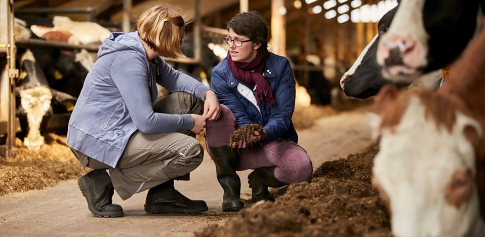 Arla - your global dairy company | Arla