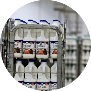 A LIVING LINK BETWEEN FARM AND FRIDGE | Arla