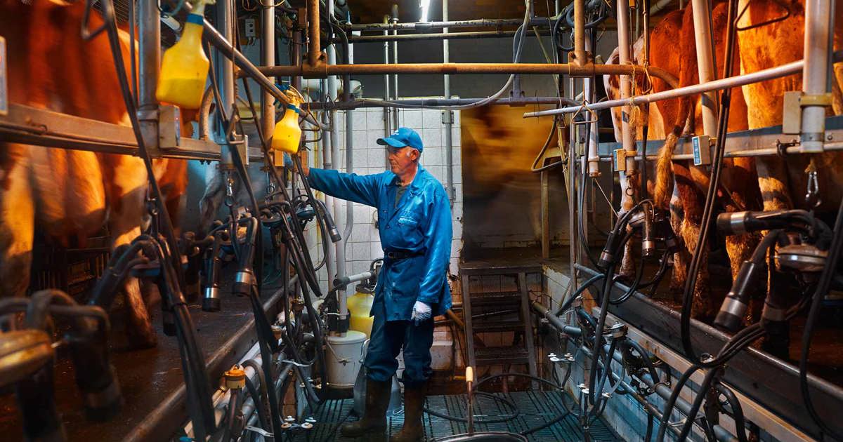 Arla Landmarks | Arla