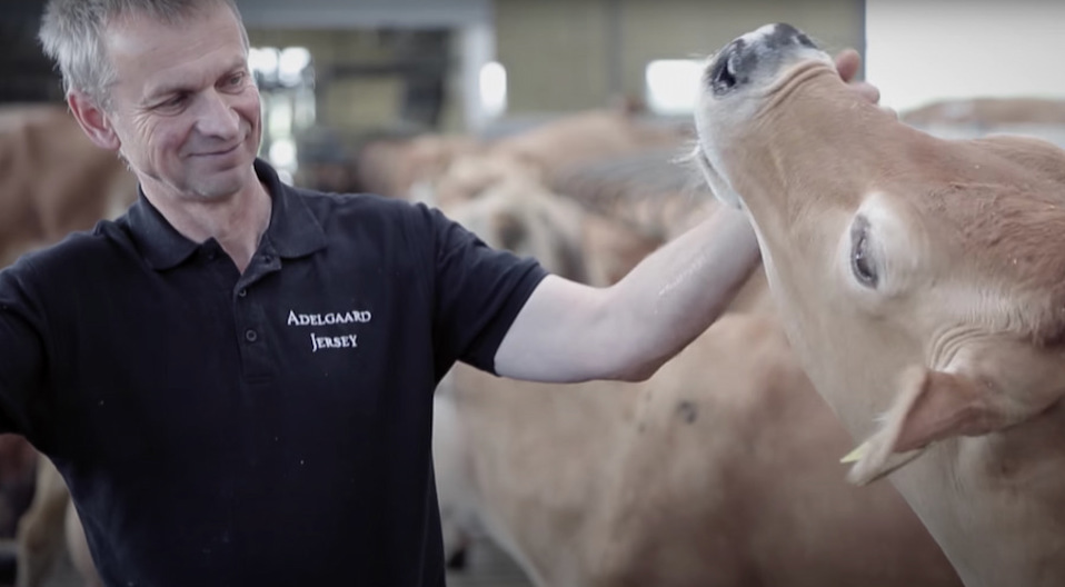 The Farms - Where everything begins | Arla